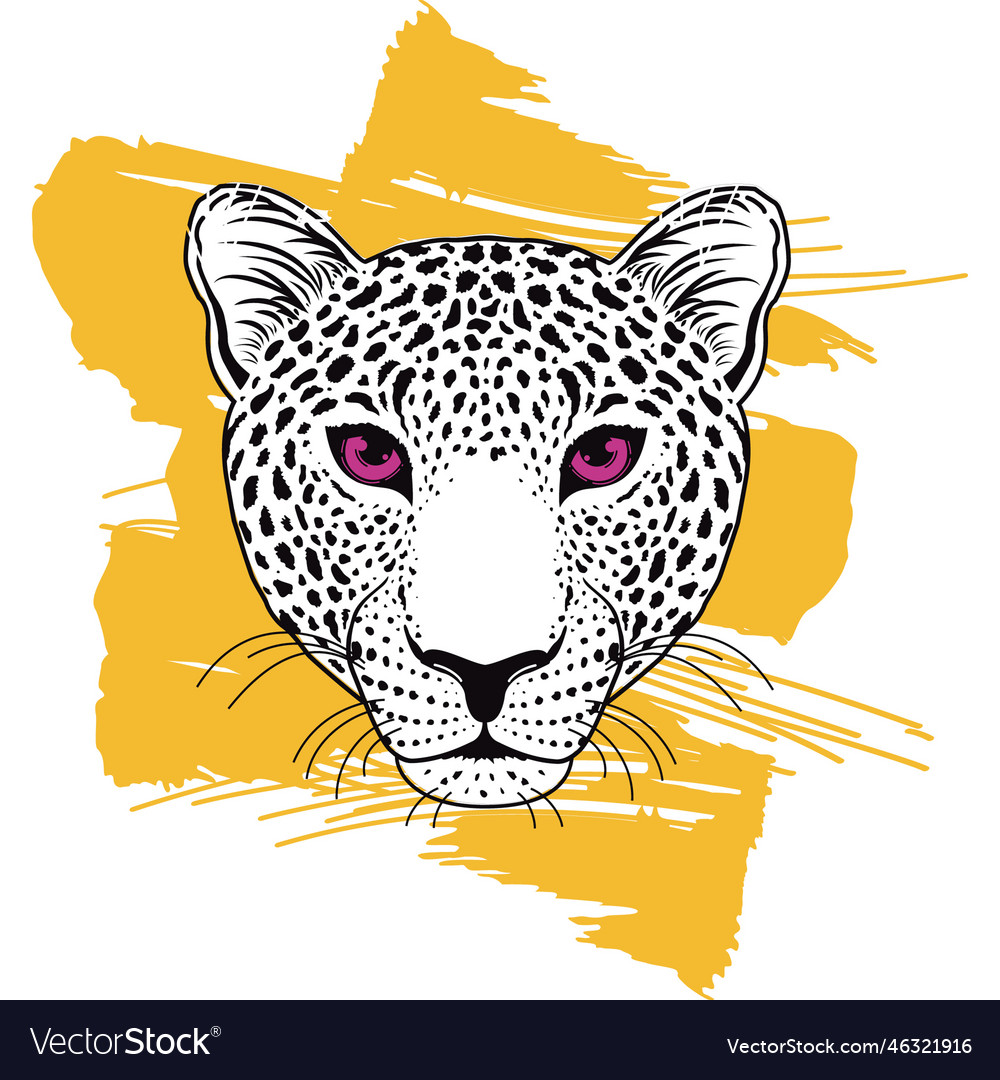 Leopard face Royalty Free Vector Image - VectorStock