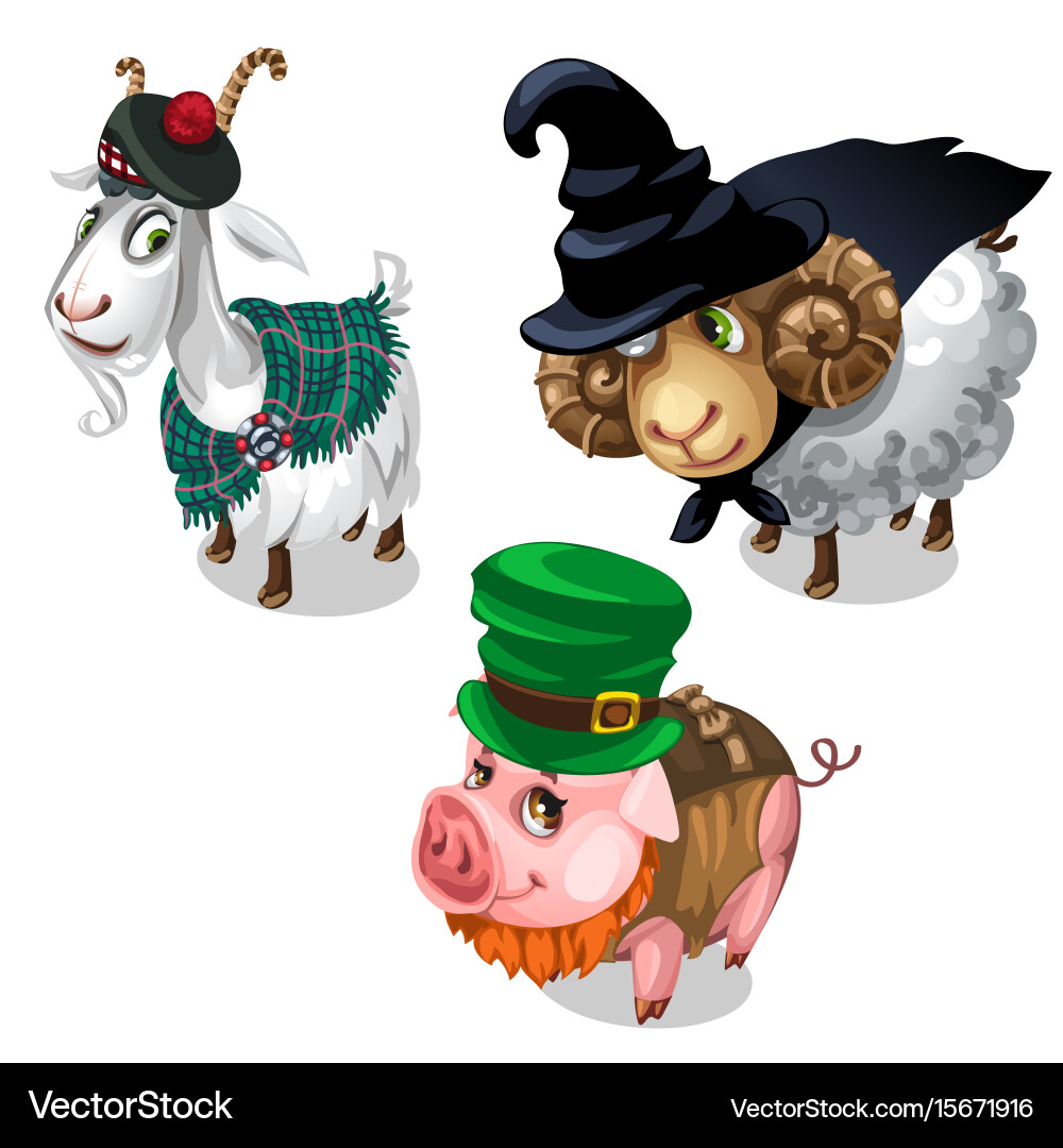 Scottish wizard leprechaun costume on animals Vector Image