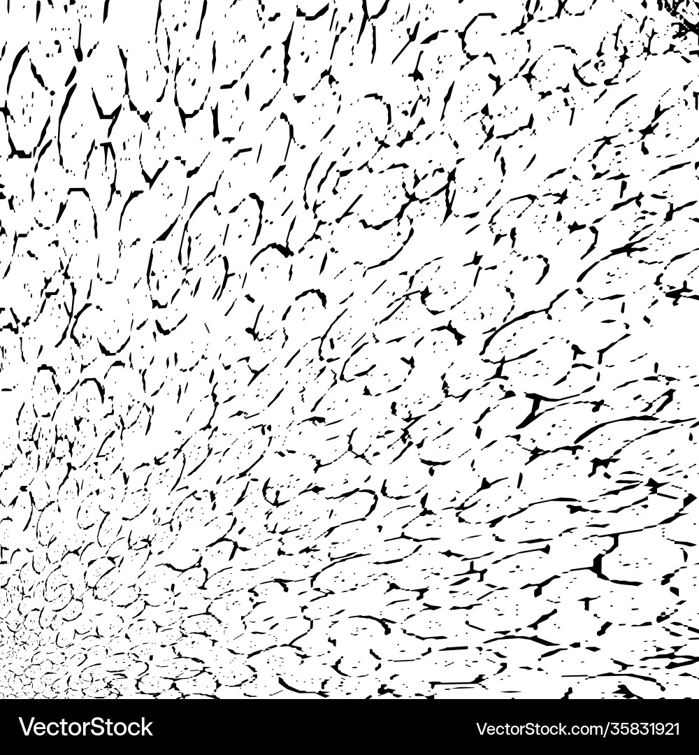 Grainy overlay texture Royalty Free Vector Image