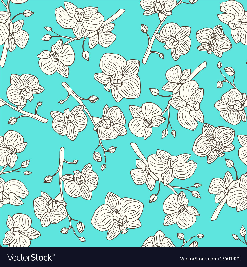 Orchid flowers seamless pattern Royalty Free Vector Image