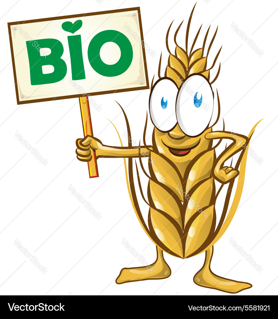 Wheat cartoon bio with signboard isolated on white