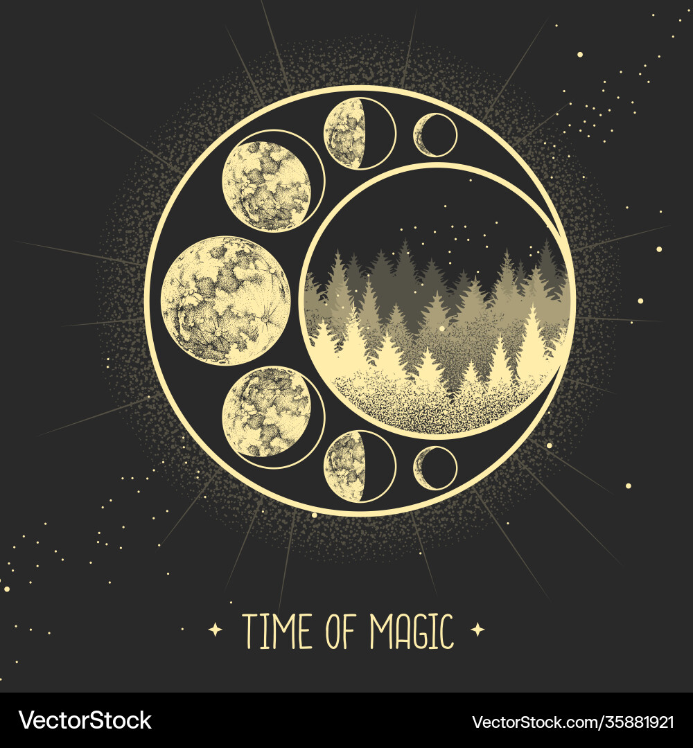 Witchcraft card with astrology moon phases sign Vector Image