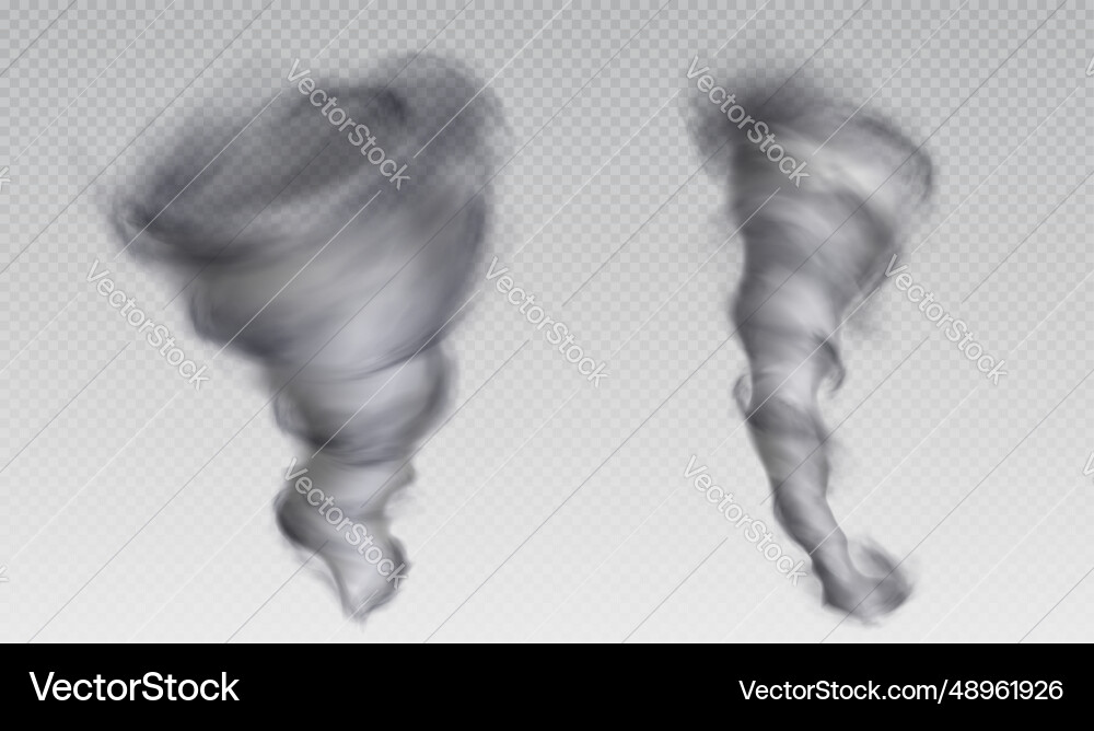 3d tornado hurricane cyclone storm effect Vector Image