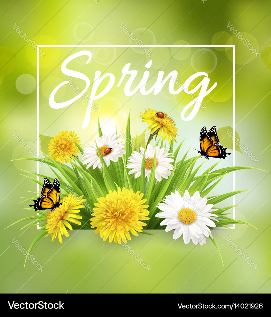Nature spring background with colorful flowers Vector Image