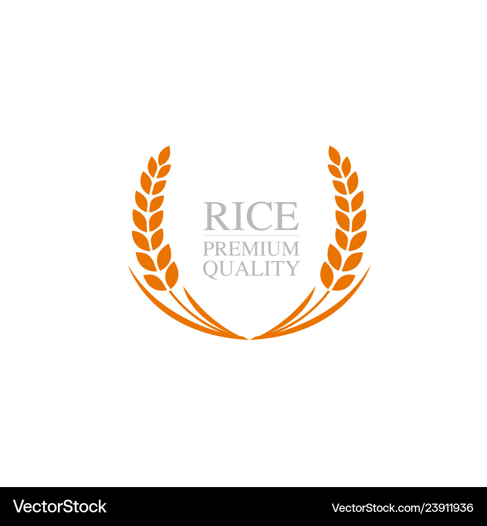 Premium rice great quality design concept Vector Image