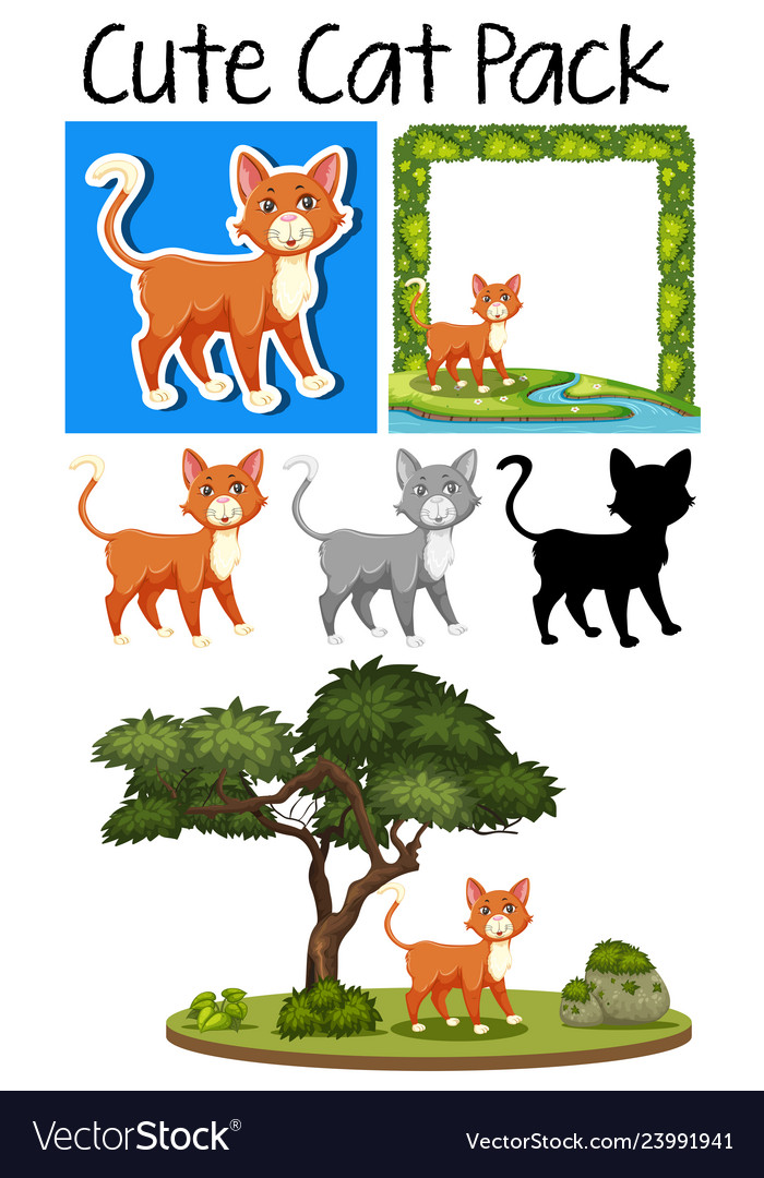 Cute cat pack set Royalty Free Vector Image - VectorStock