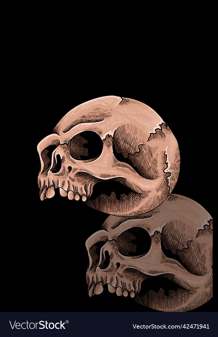 Skull Royalty Free Vector Image - VectorStock