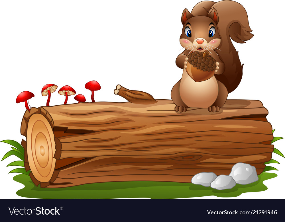 Cartoon Squirrel Standing While Holding Acorn Vector Image