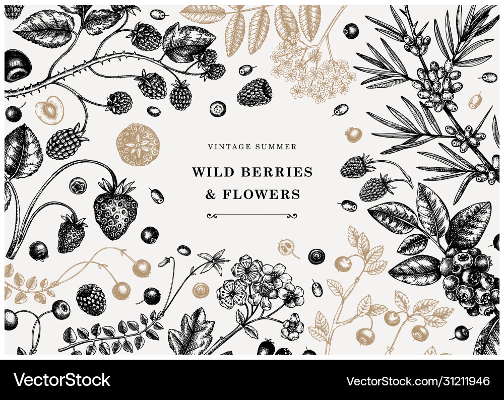 Hand drawn berry vintage design berries Royalty Free Vector