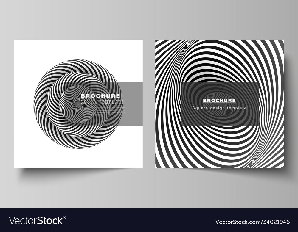 Minimal layout two square format Royalty Free Vector Image