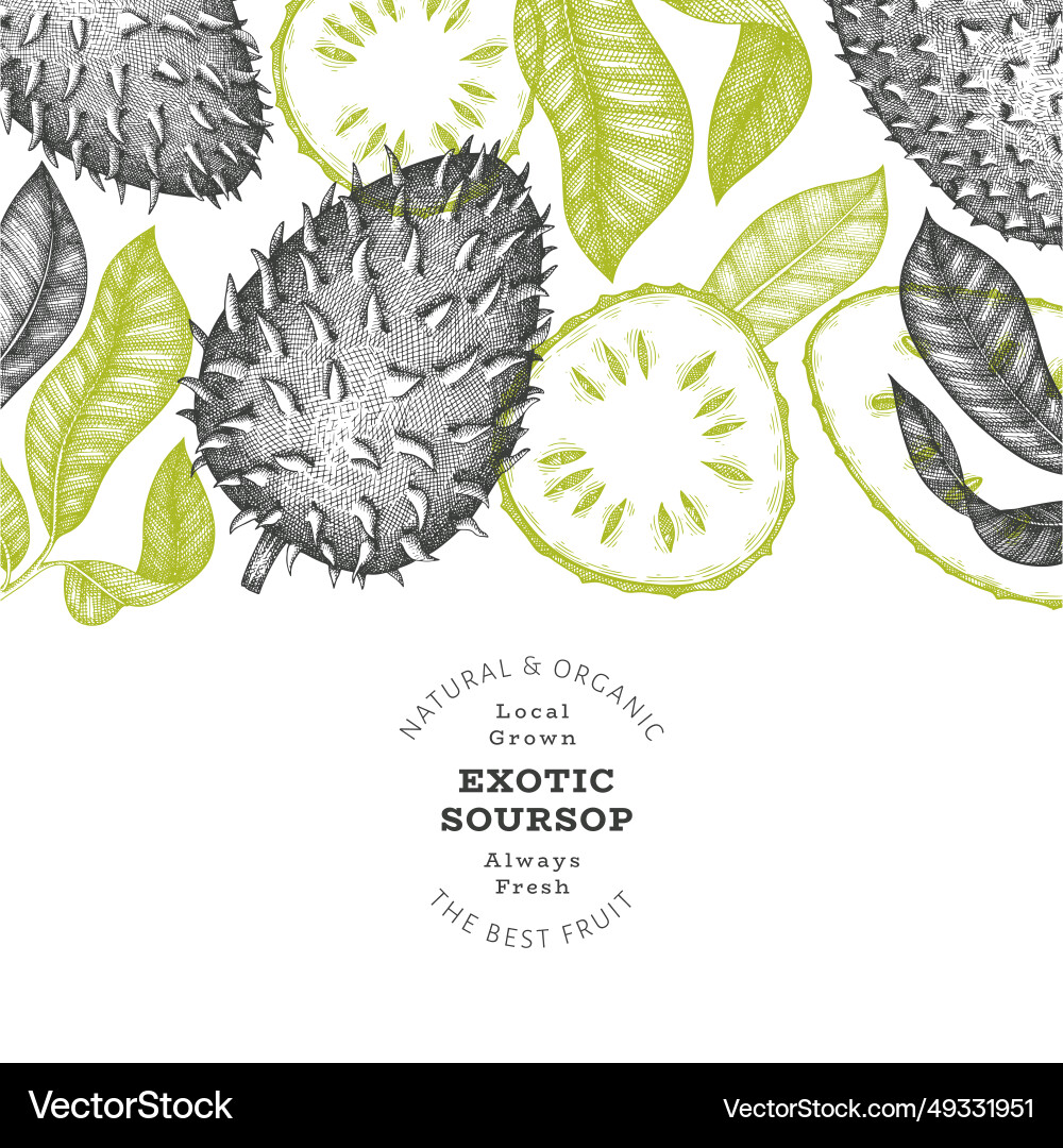 Hand drawn sketch style soursop fruit banner Vector Image