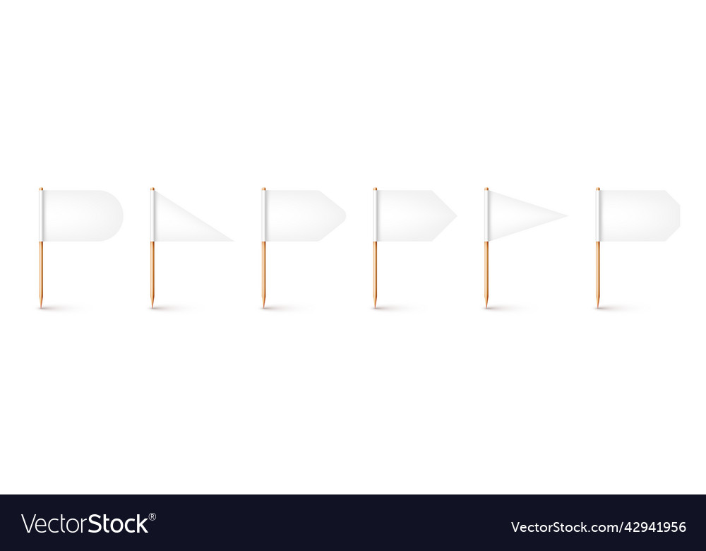 Realistic various toothpick flags wooden Vector Image