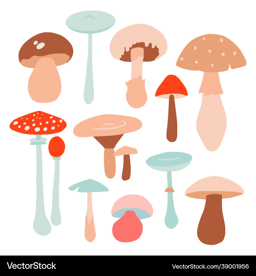 Set with mushrooms template isolated on white Vector Image
