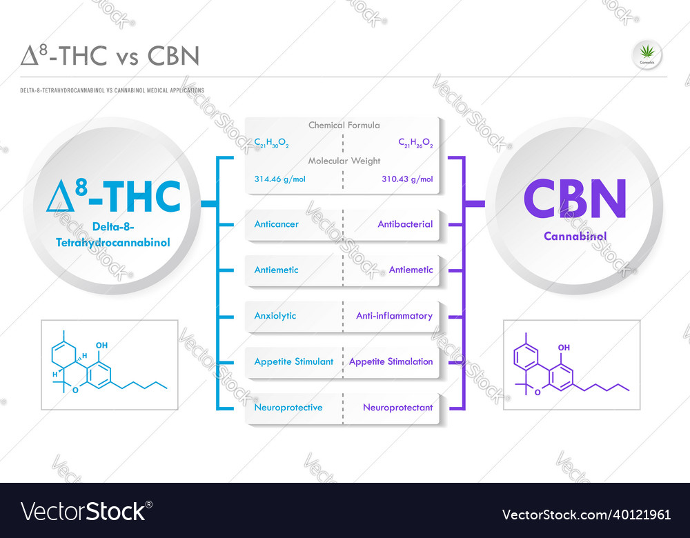8-thc vs cbn delta 8 tetrahydrocannabinol Vector Image