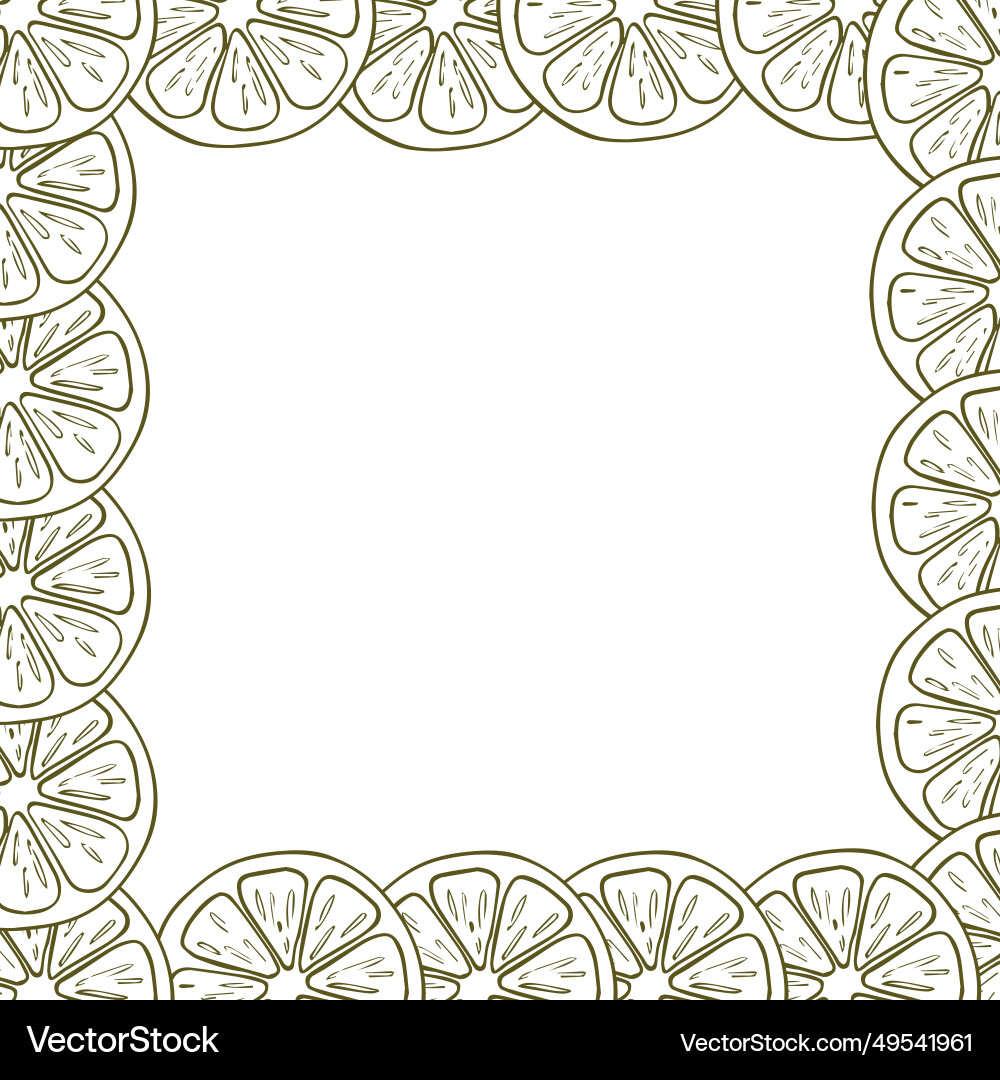 A border of lemon slices composition citrus Vector Image