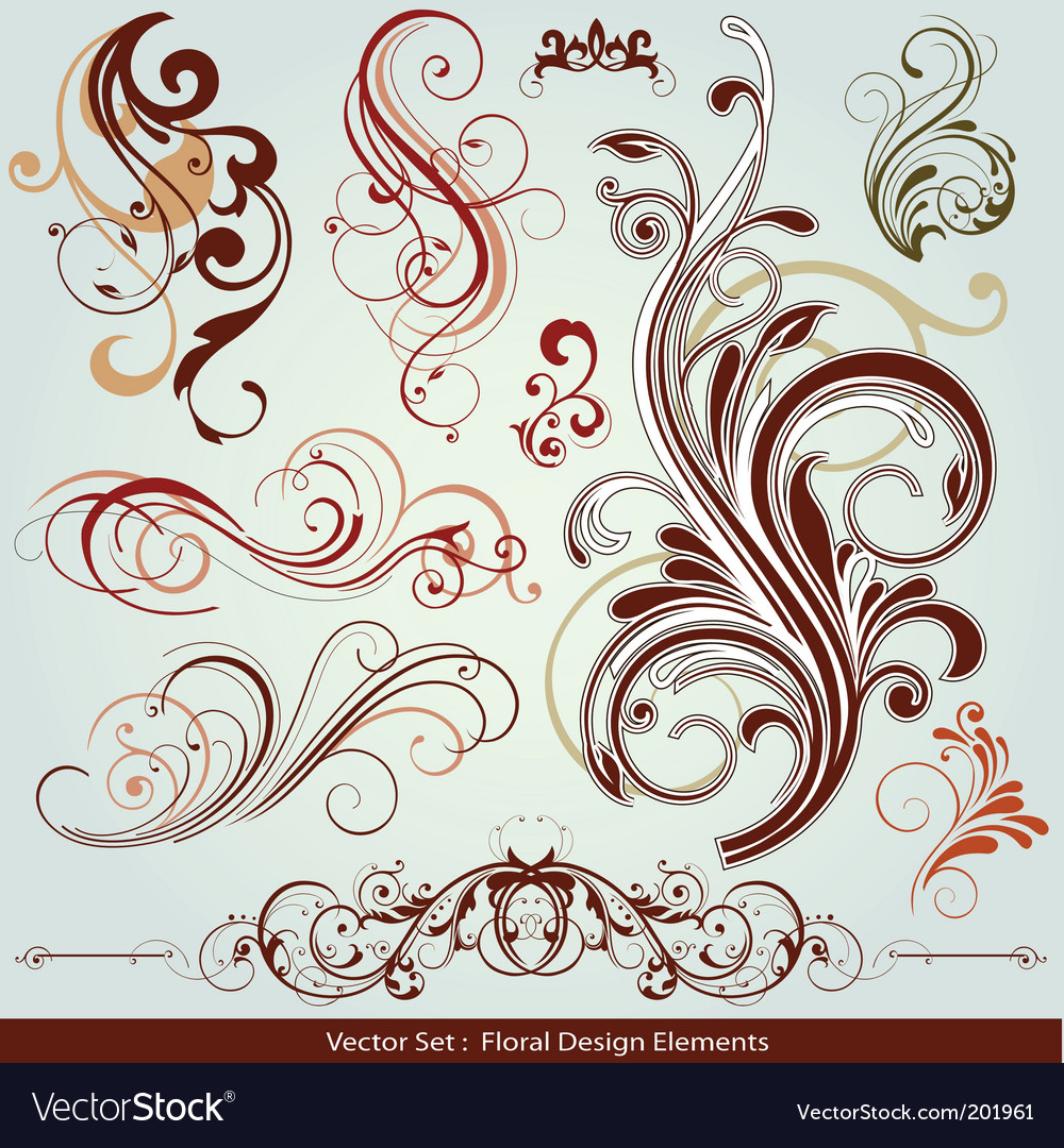 Floral design elements Royalty Free Vector Image