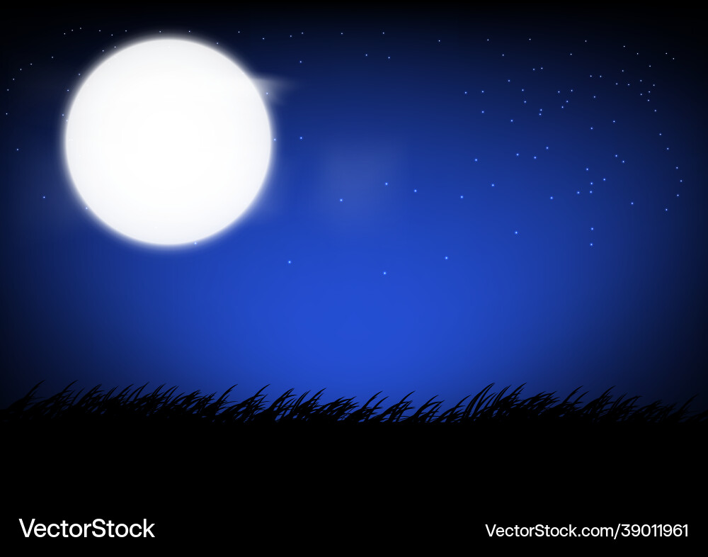Moon on sky and grass on ground at night Vector Image