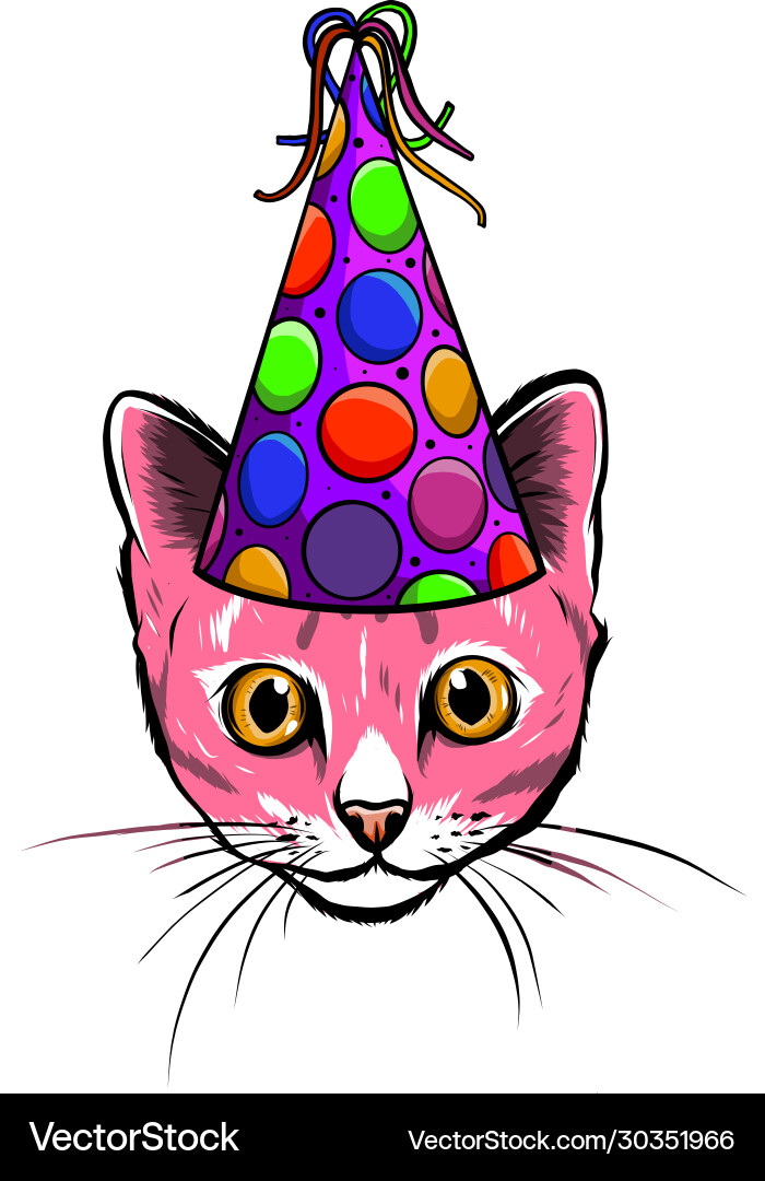Hand drawn cat in party hat heart Royalty Free Vector Image