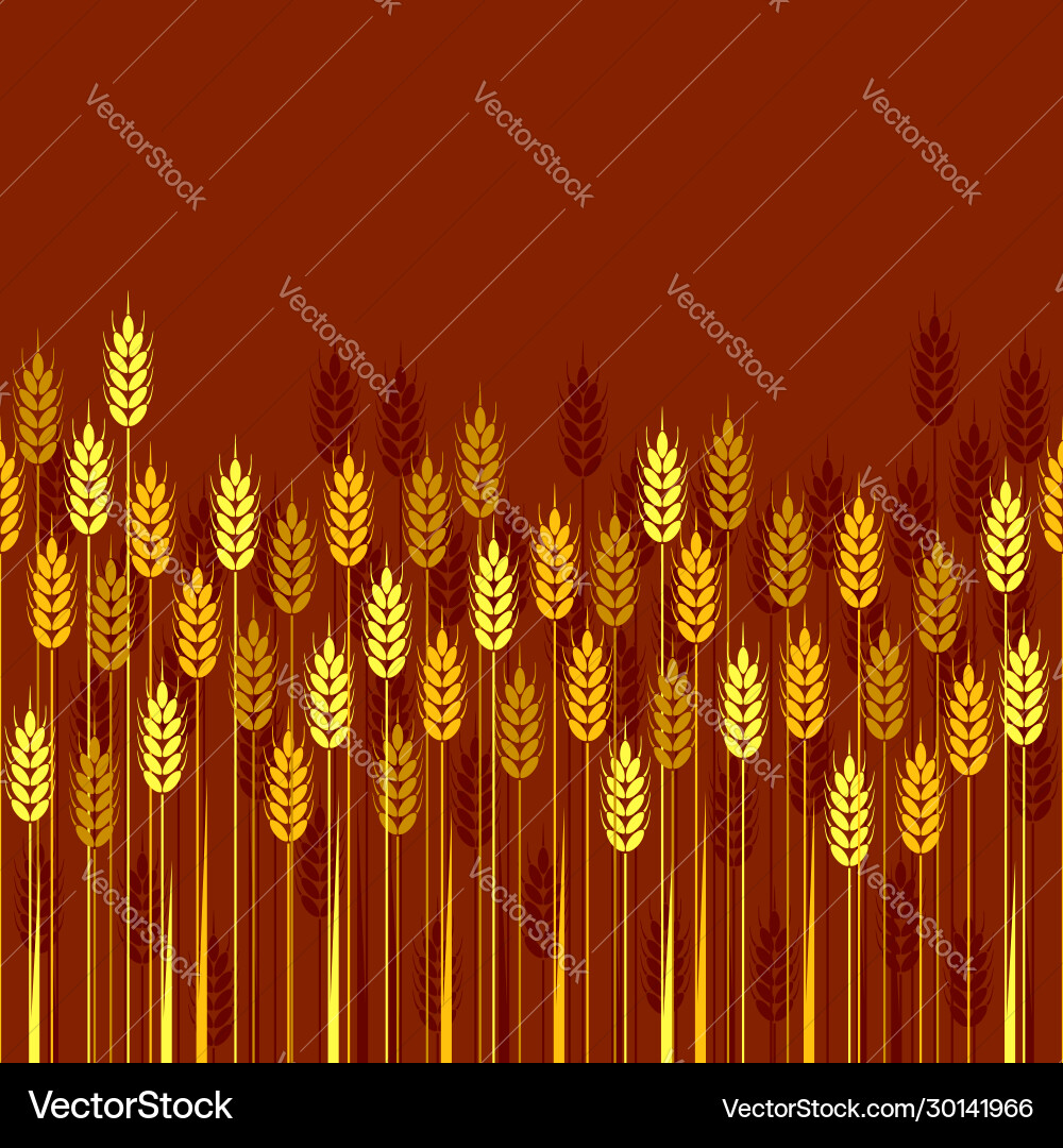 Seamless repeating wheat barley or rye background Vector Image