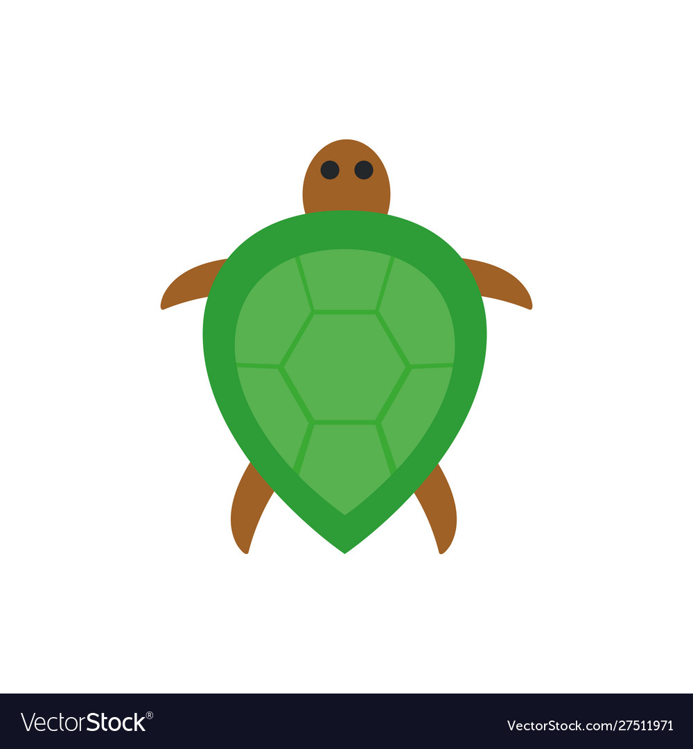 Isolated turtle animal flat design Royalty Free Vector Image