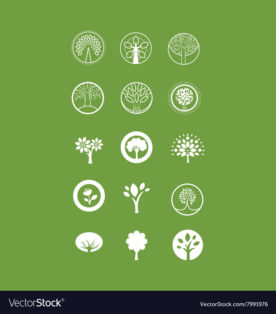 Tree bundle logo Royalty Free Vector Image - VectorStock