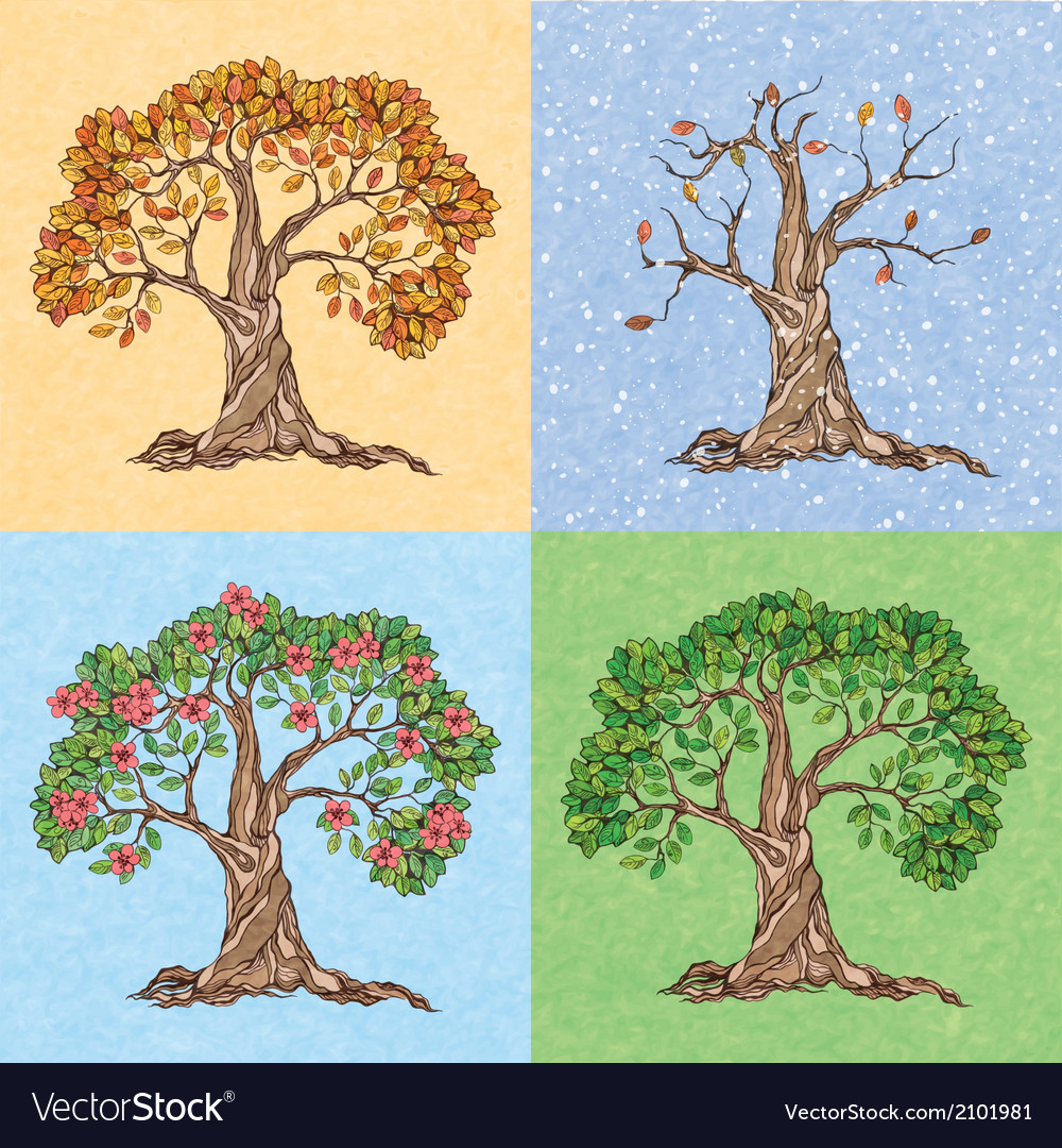 Four seasons tree Royalty Free Vector Image - VectorStock