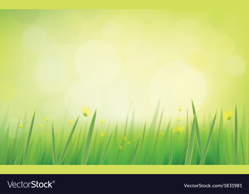 Spring field Royalty Free Vector Image - VectorStock