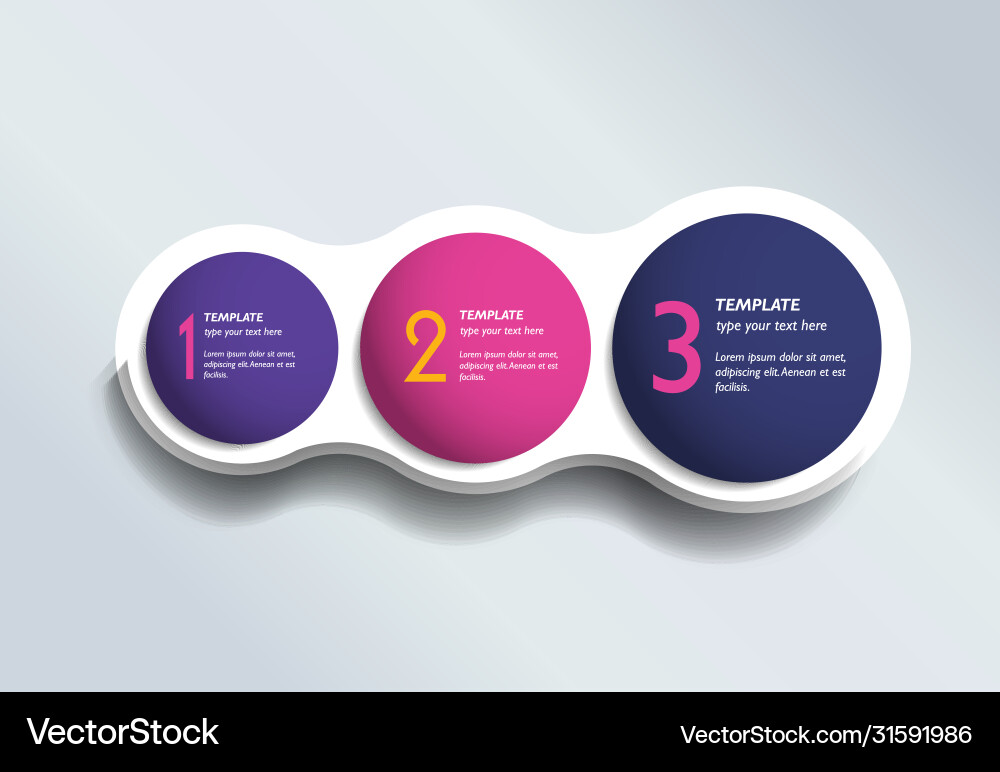 Three steps elements bubble chart scheme diagram Vector Image