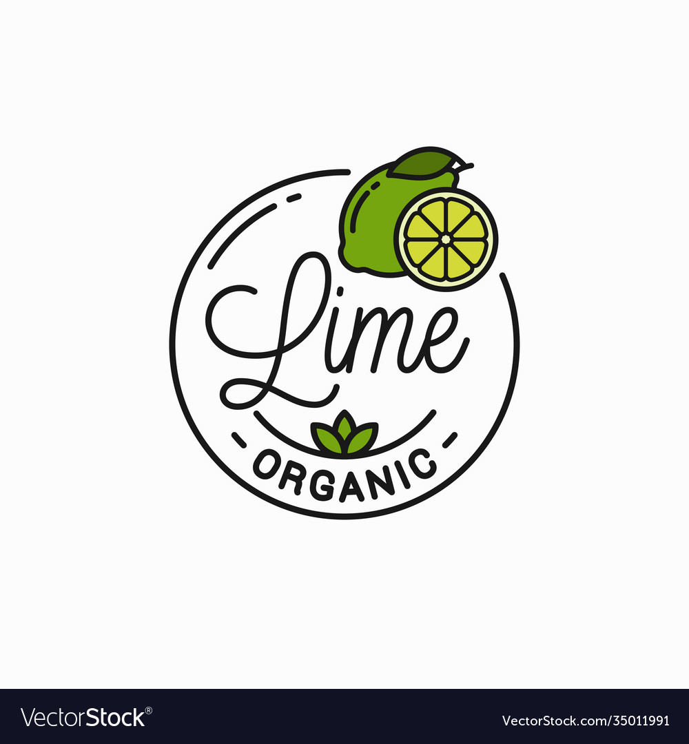 Lime fruit logo round linear slice Royalty Free Vector Image