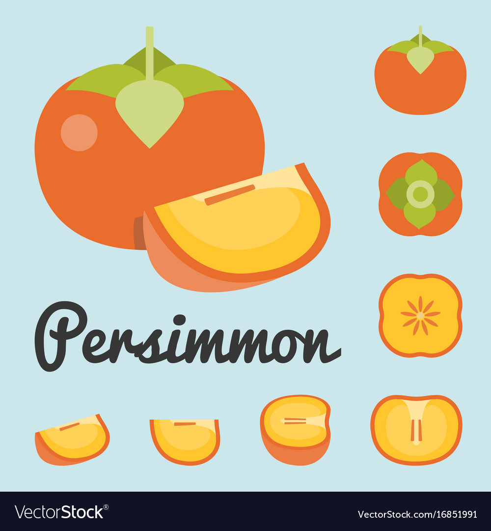 Persimmon Royalty Free Vector Image - VectorStock