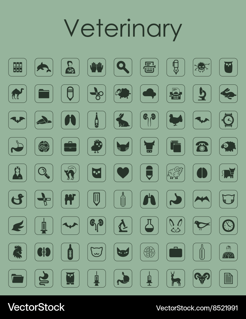 Set of veterinary simple icons Royalty Free Vector Image