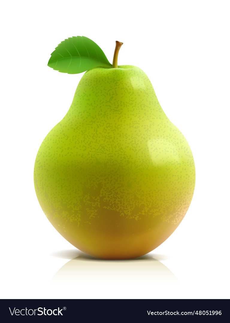 Pear Royalty Free Vector Image Vectorstock