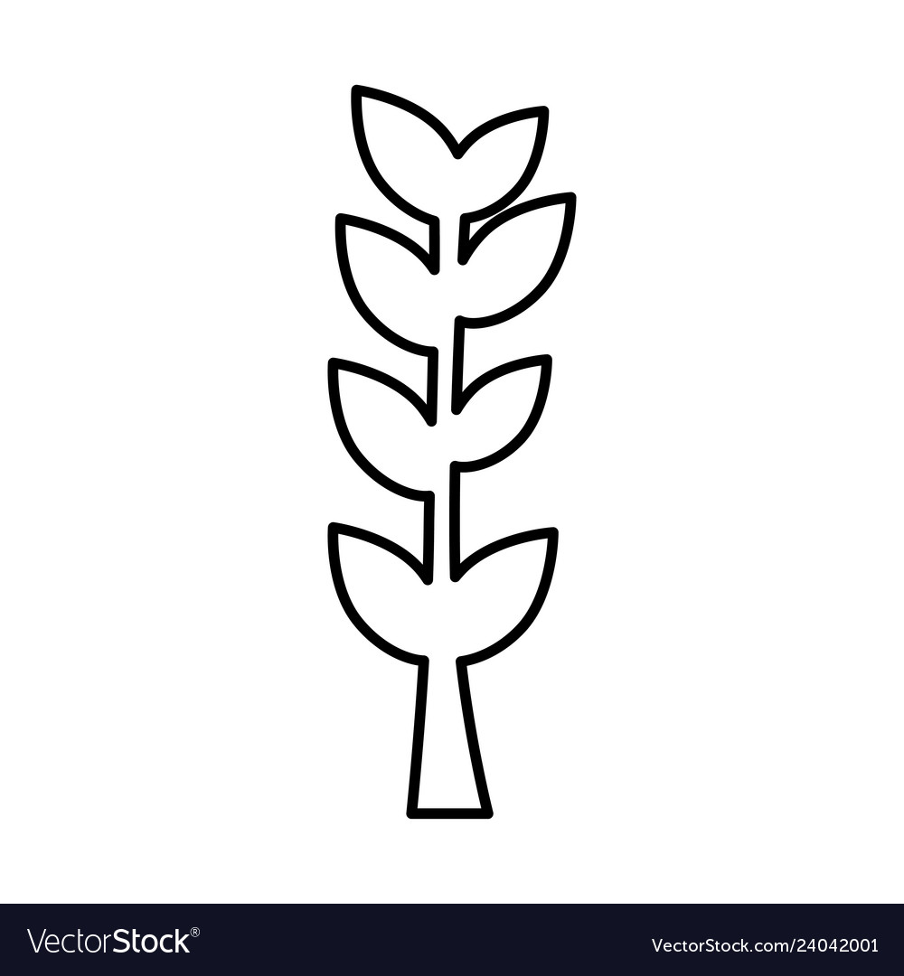 Branch leaves outline Royalty Free Vector Image