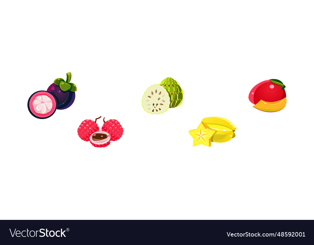 Juicy exotic fruit as sweet dessert food Vector Image Juicy exotic fruit as sweet dessert food Vector Image