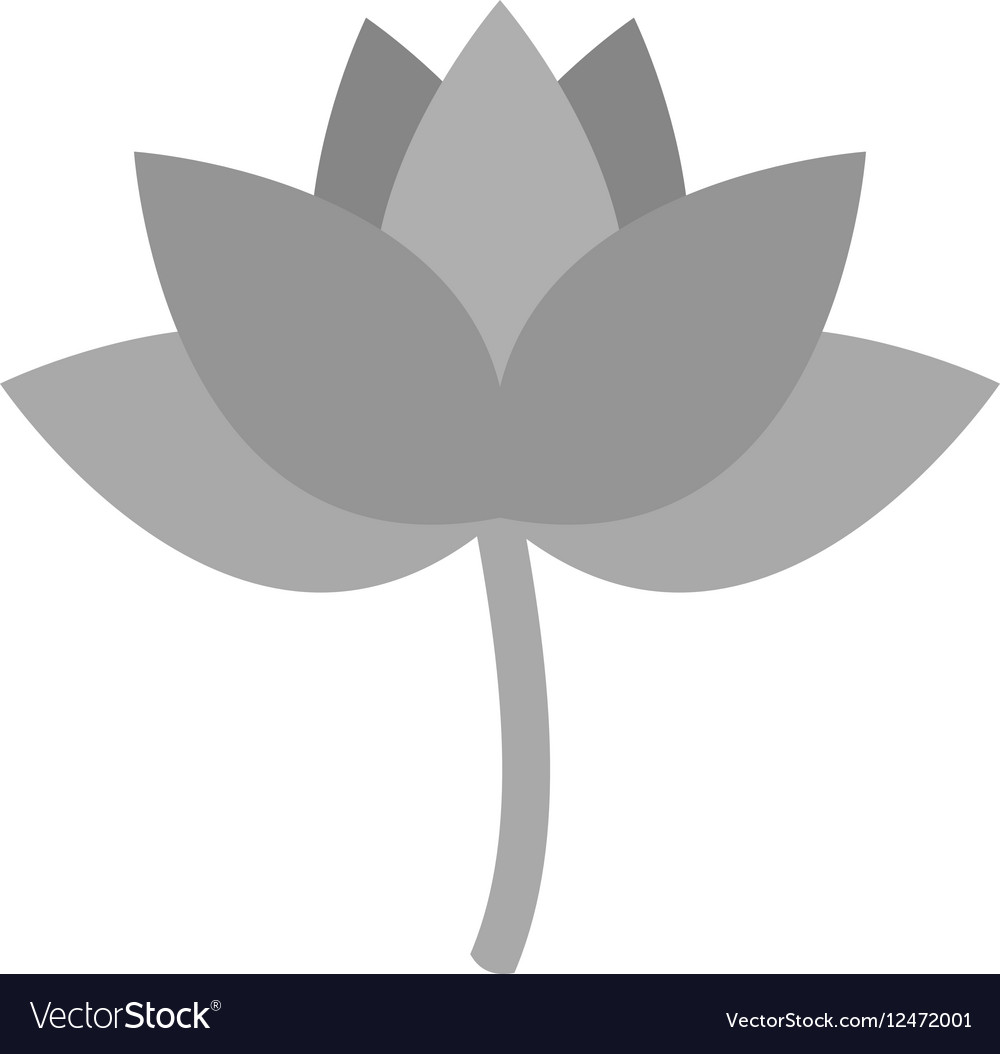 Lotus Royalty Free Vector Image - VectorStock