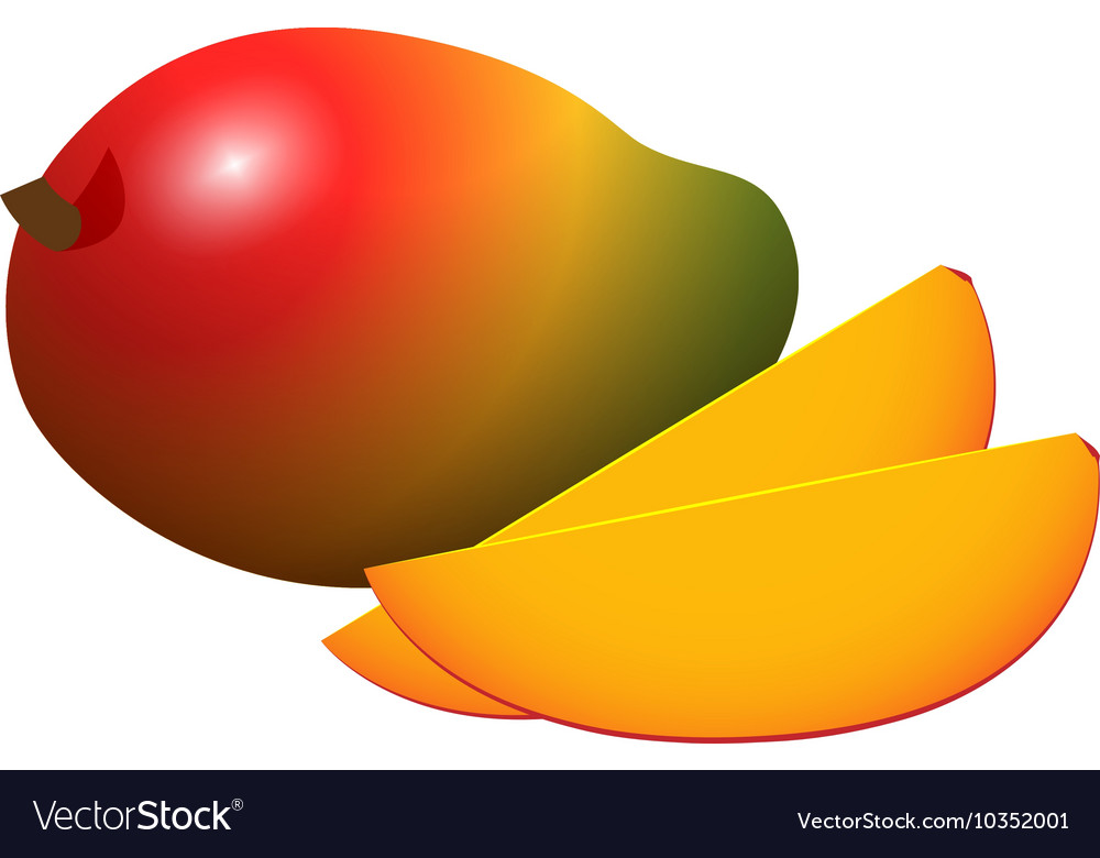 Mango fruit Royalty Free Vector Image - VectorStock