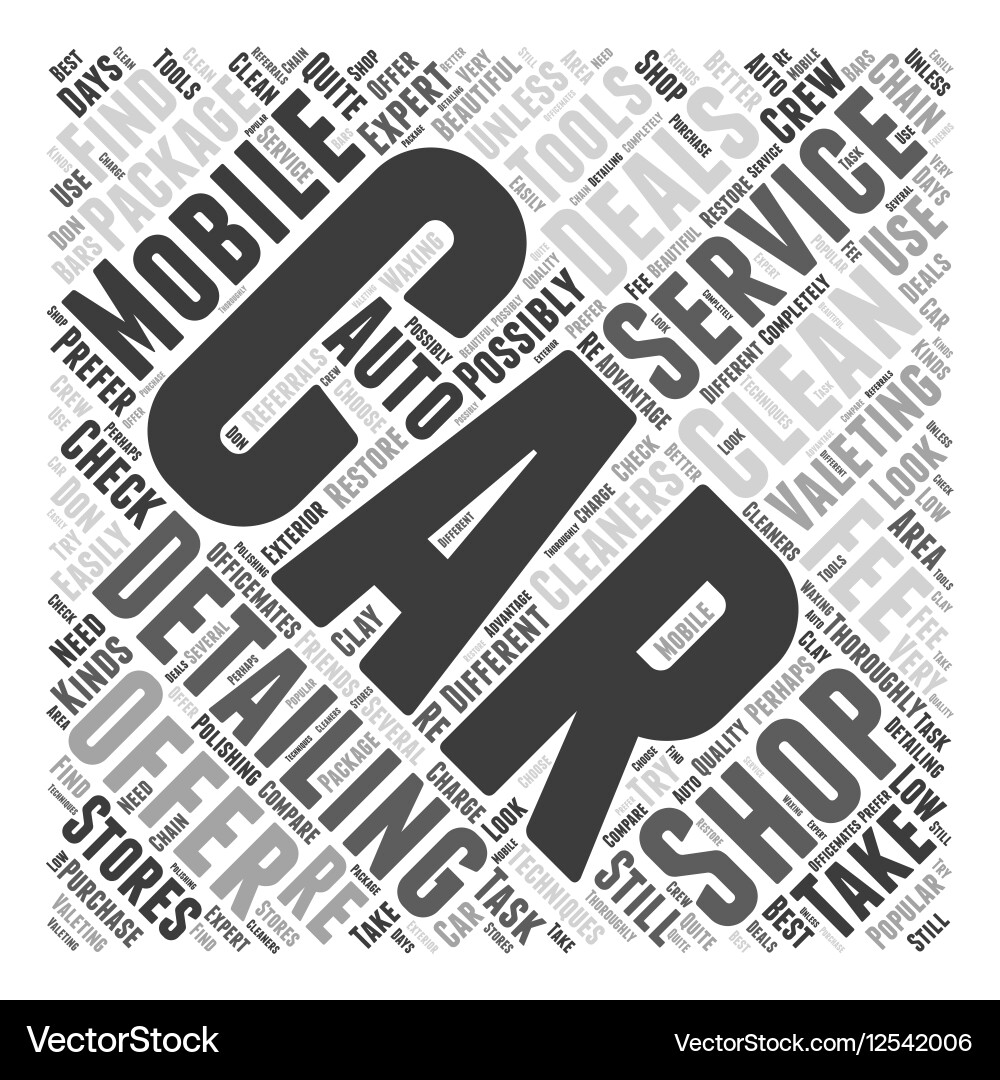 Car Valeting Detailing Shops or Mobile Services Vector Image