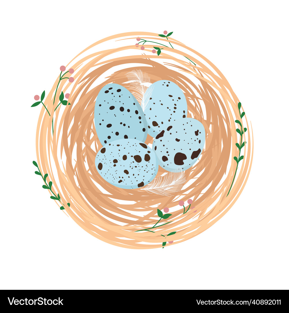 A birds nest with eggs Royalty Free Vector Image