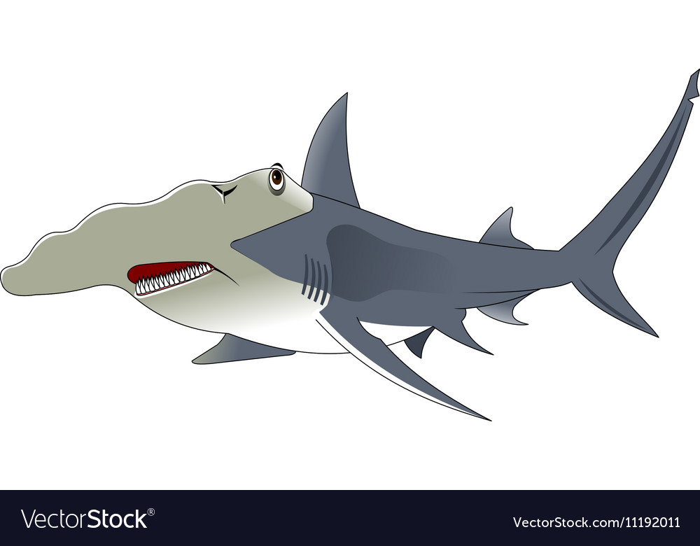 Hammerhead Royalty Free Vector Image - VectorStock