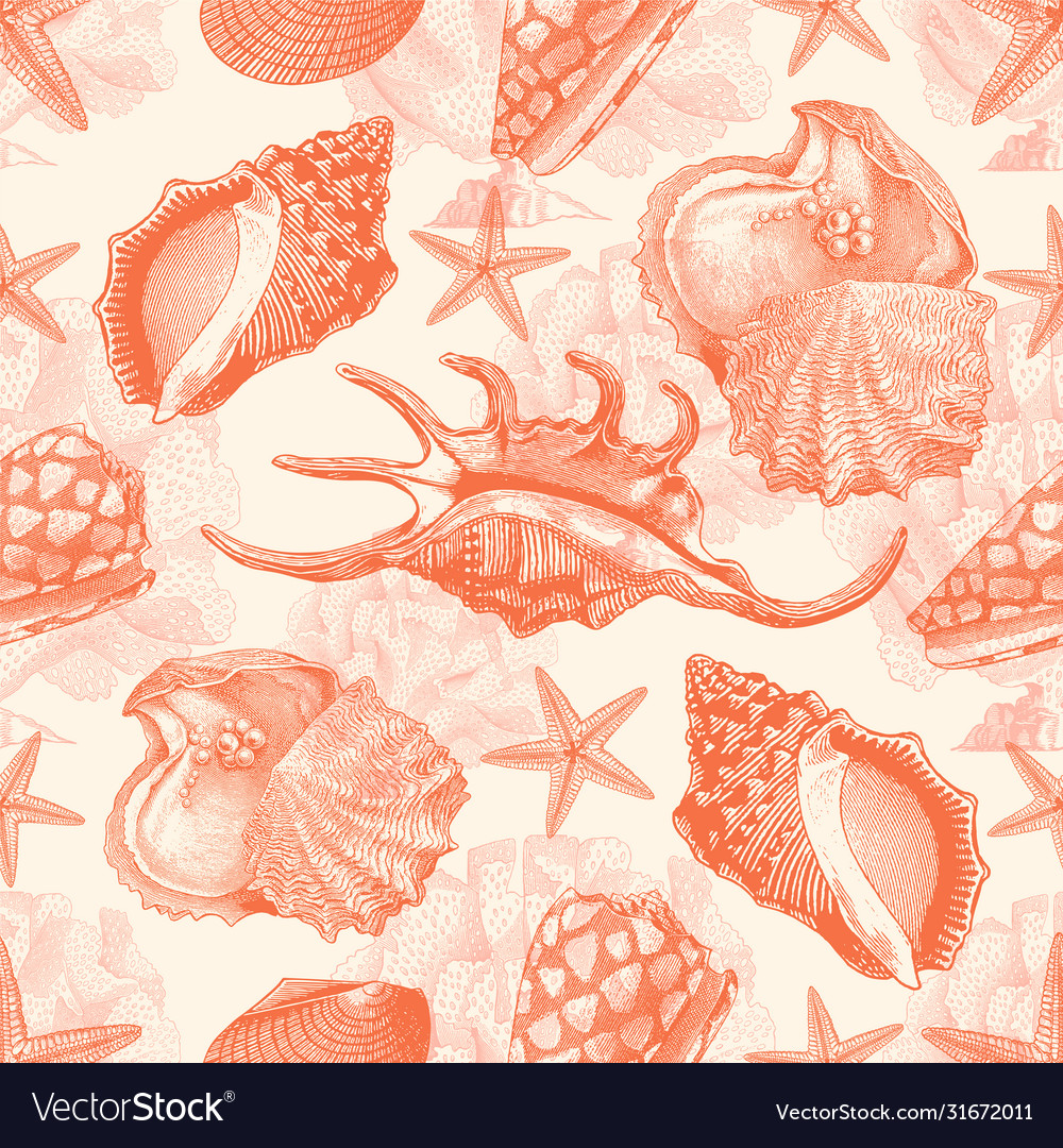 Seamless pattern with sea shells Royalty Free Vector Image