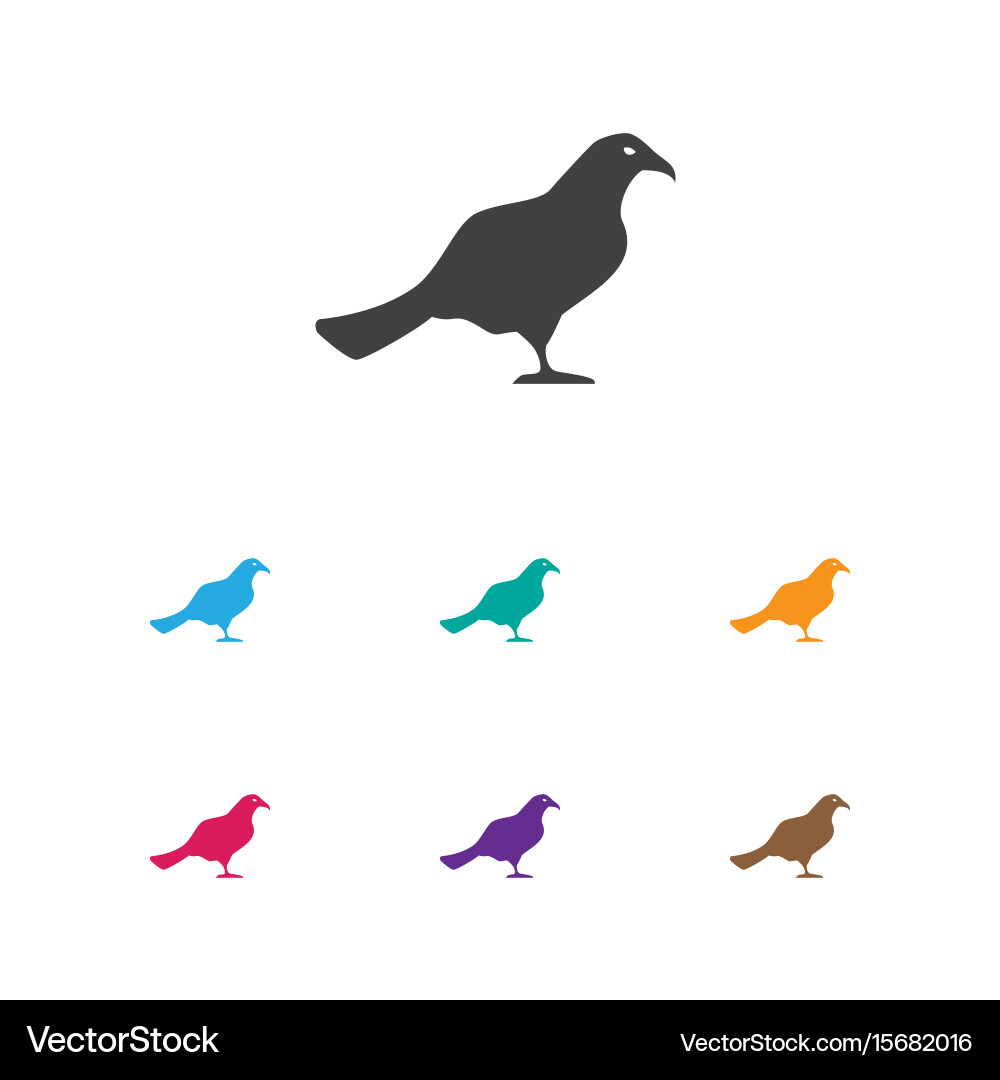 Animal symbol on ocean mew Royalty Free Vector Image
