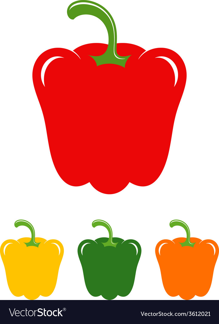 Bell pepper Royalty Free Vector Image - VectorStock