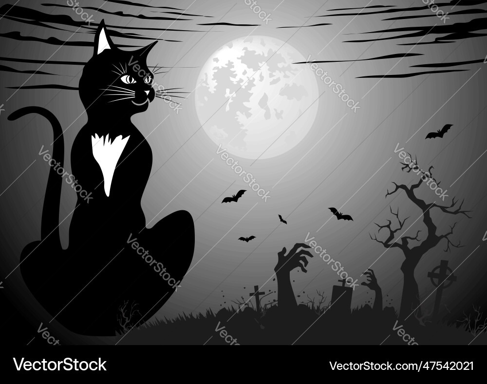 Halloween night black cat greeting card Royalty Free Vector