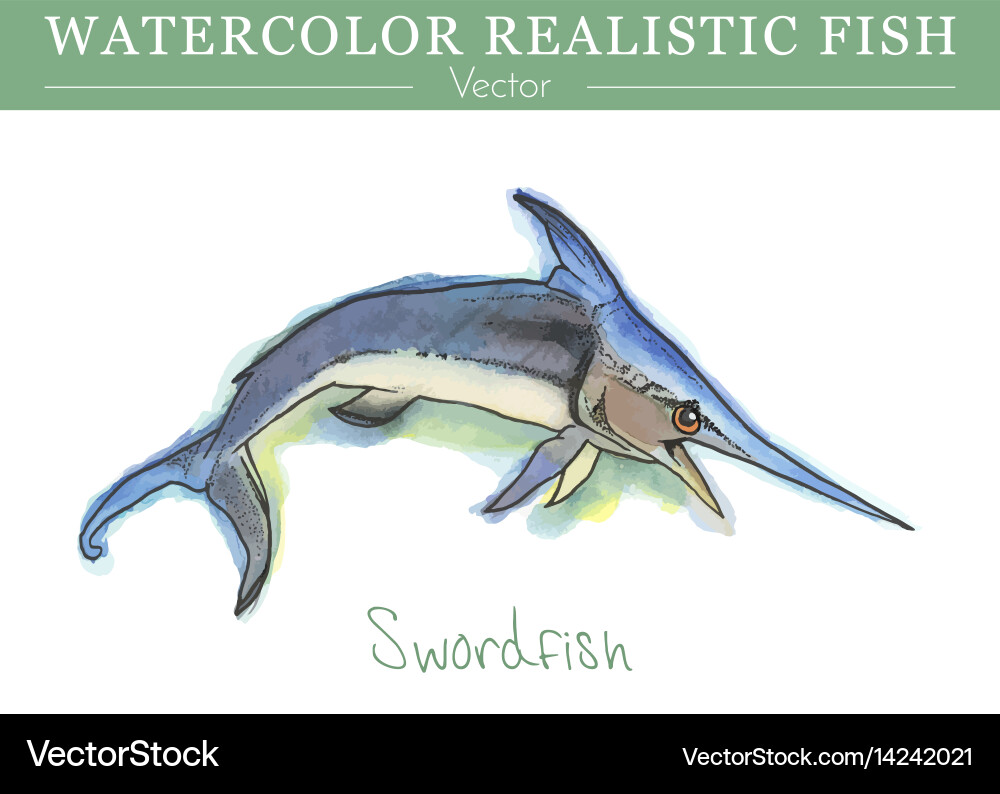 Hand painted watercolor edible fish design Vector Image