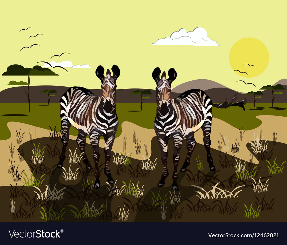 Two zebras Royalty Free Vector Image - VectorStock