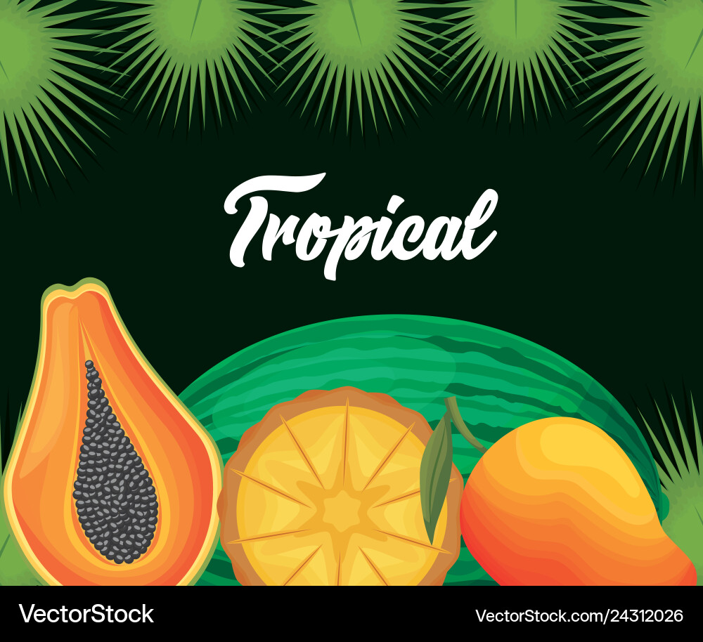 Fresh mango with papaya and watermelon Royalty Free Vector
