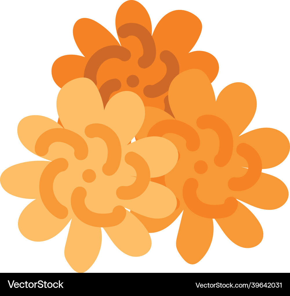 Flowers natural decoration Royalty Free Vector Image
