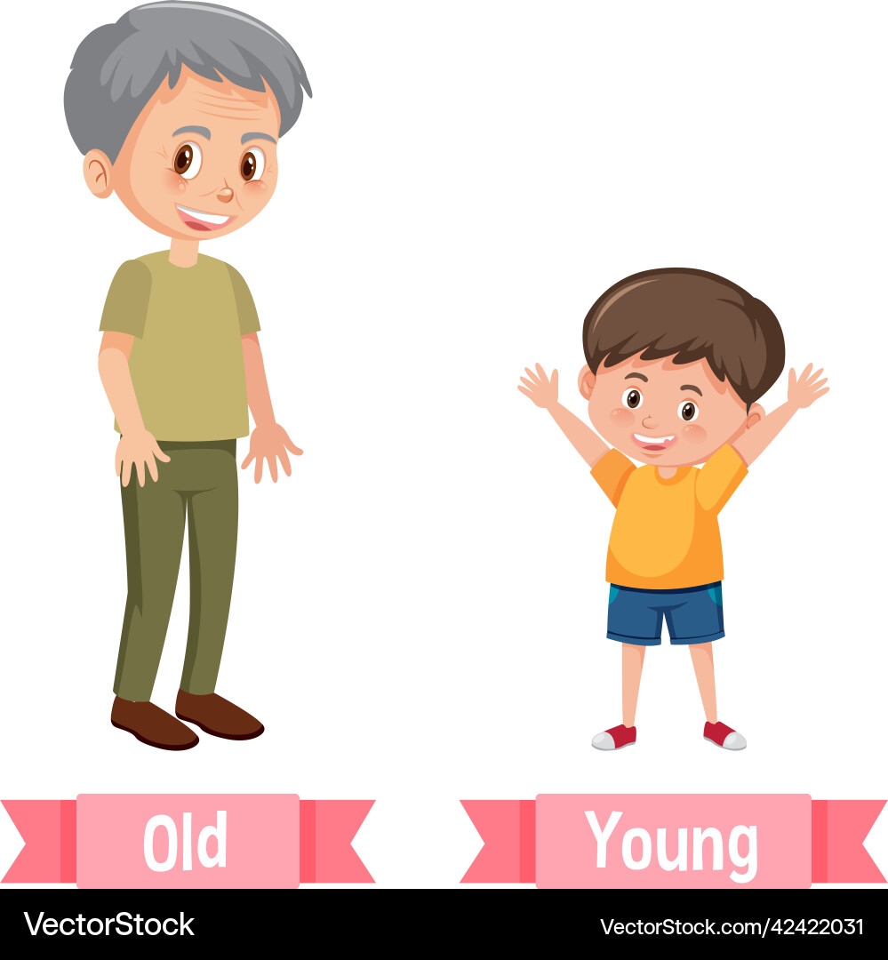 Opposite english words old and young Royalty Free Vector