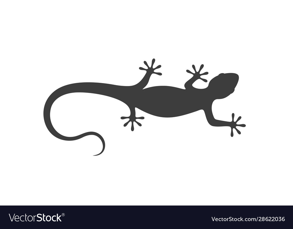 Lizard Royalty Free Vector Image - VectorStock