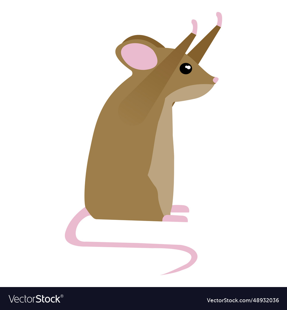Mouse posture tail flat Royalty Free Vector Image